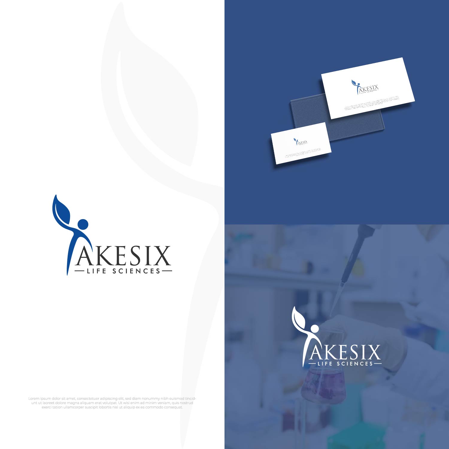 AKESIX Logo Design Concept By Zaky Graphic 409215 - Designhill