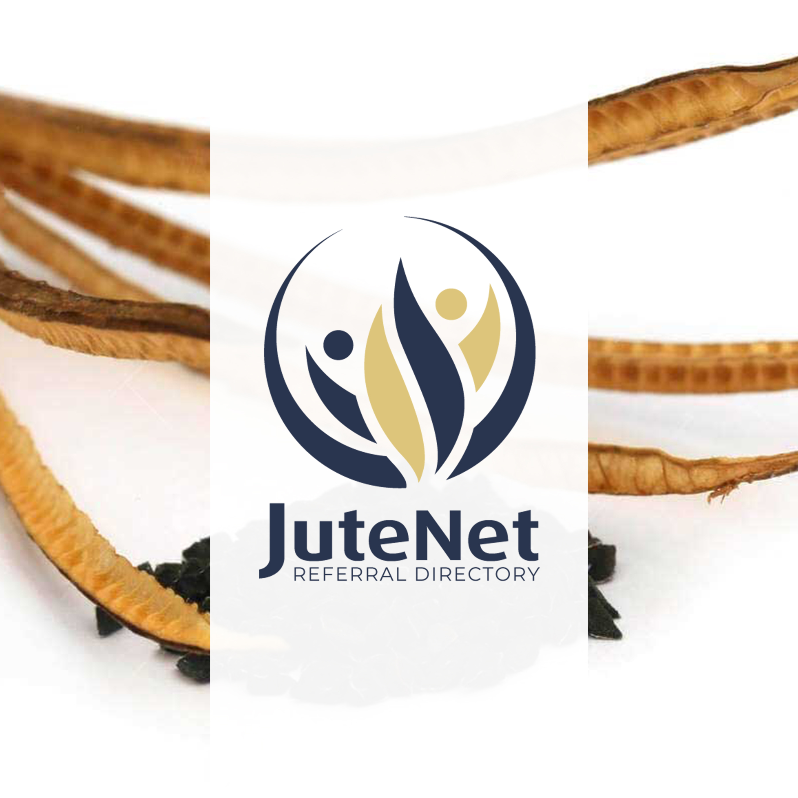 JuteNet Logo Design By OneToOne 334523 - Designhill