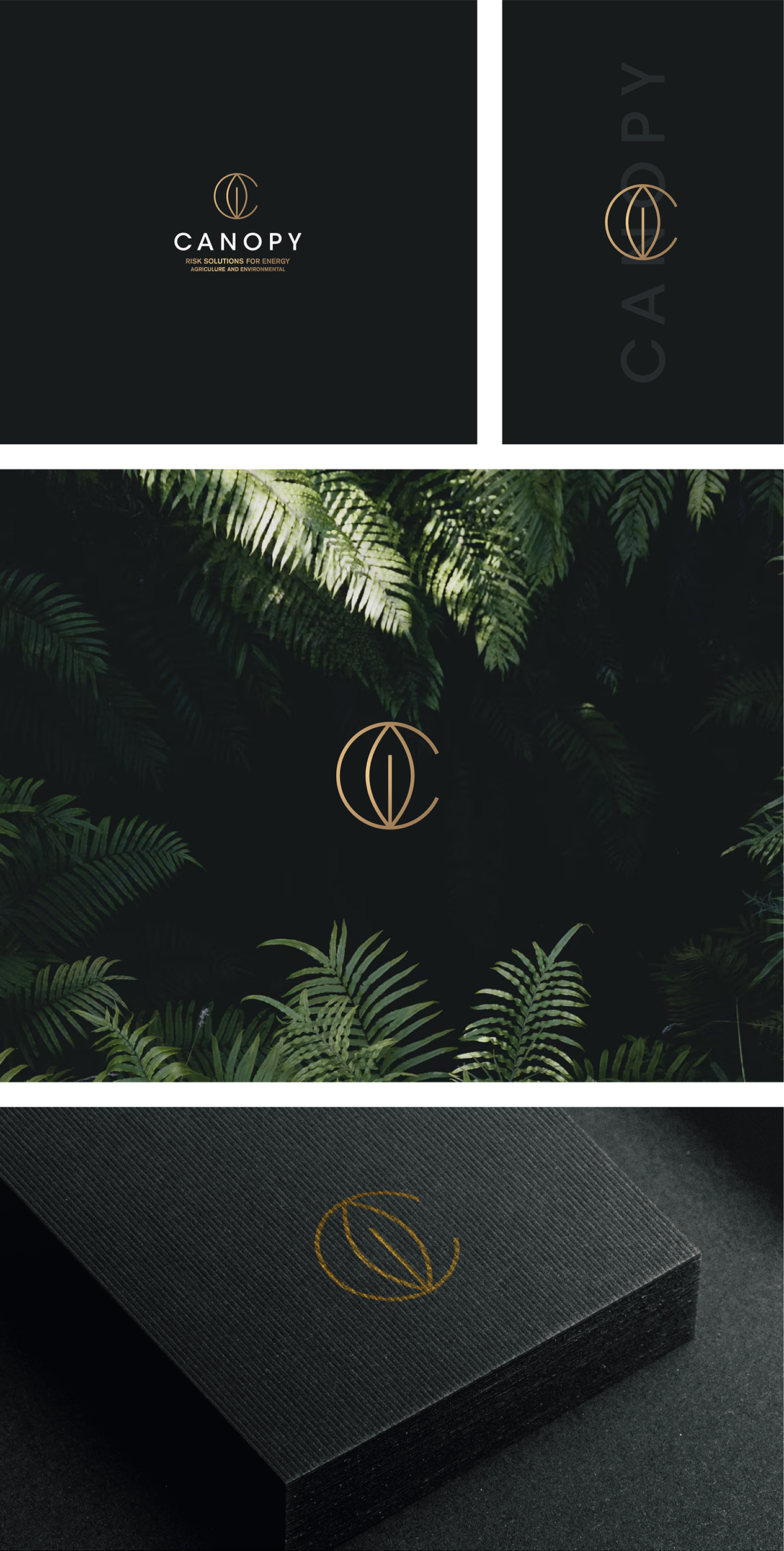 Canopy Logo Design - Logo Design BY blackrt 357097 - Designhill