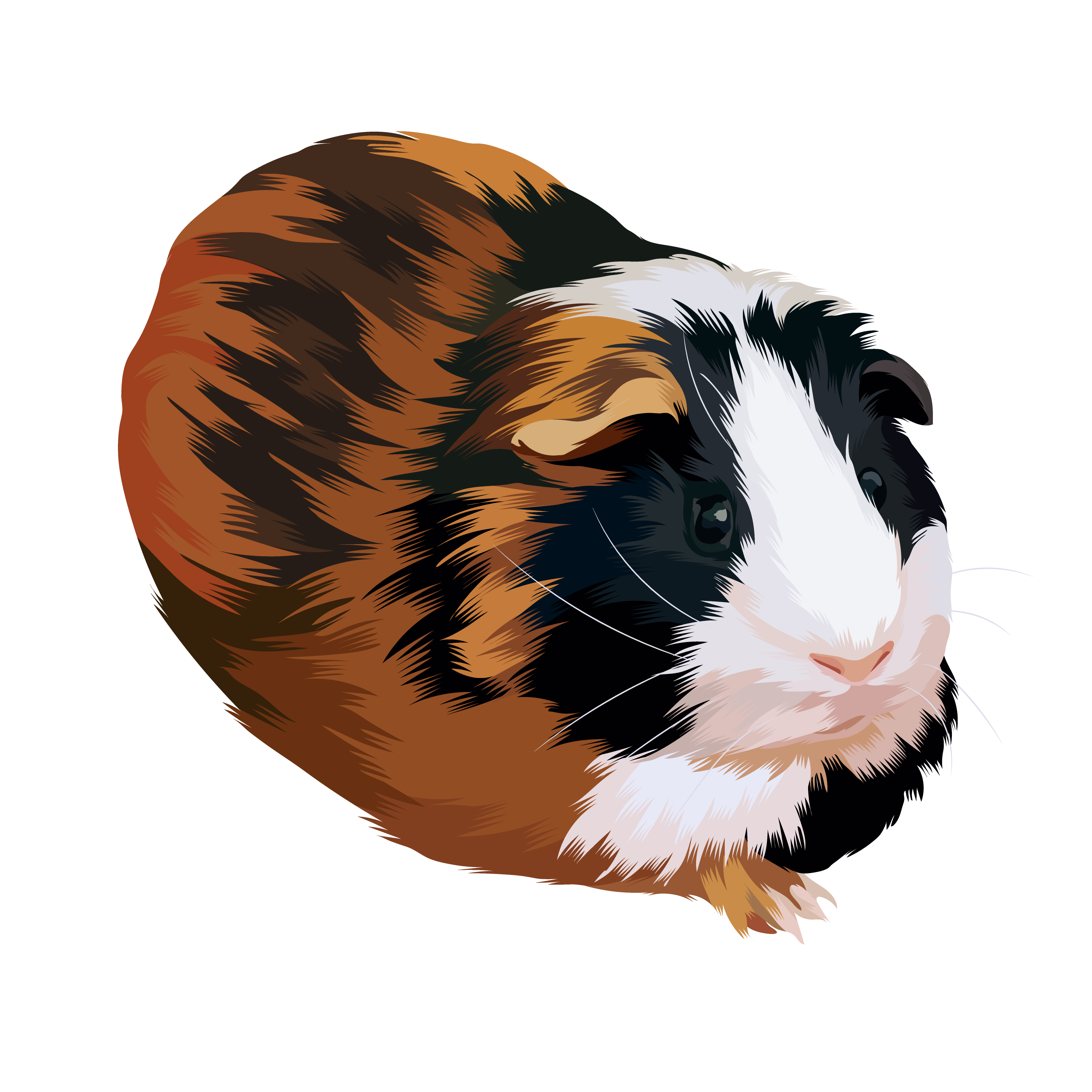 Cute Hamster Vector By Muhammad Gina Mugi 210530 - Designhill