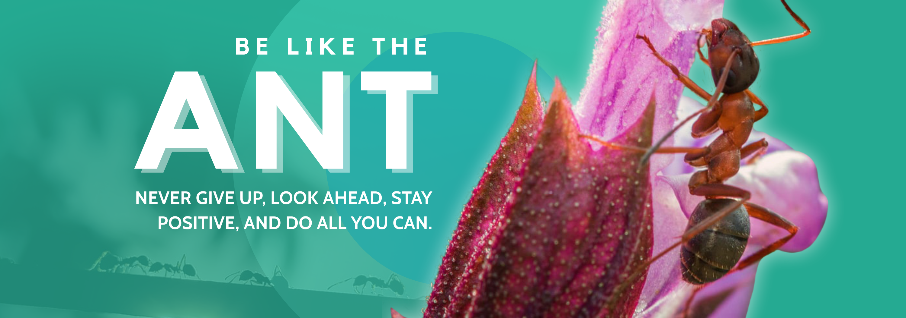 35a7b8832e695ae84b88136c5114a13f ...