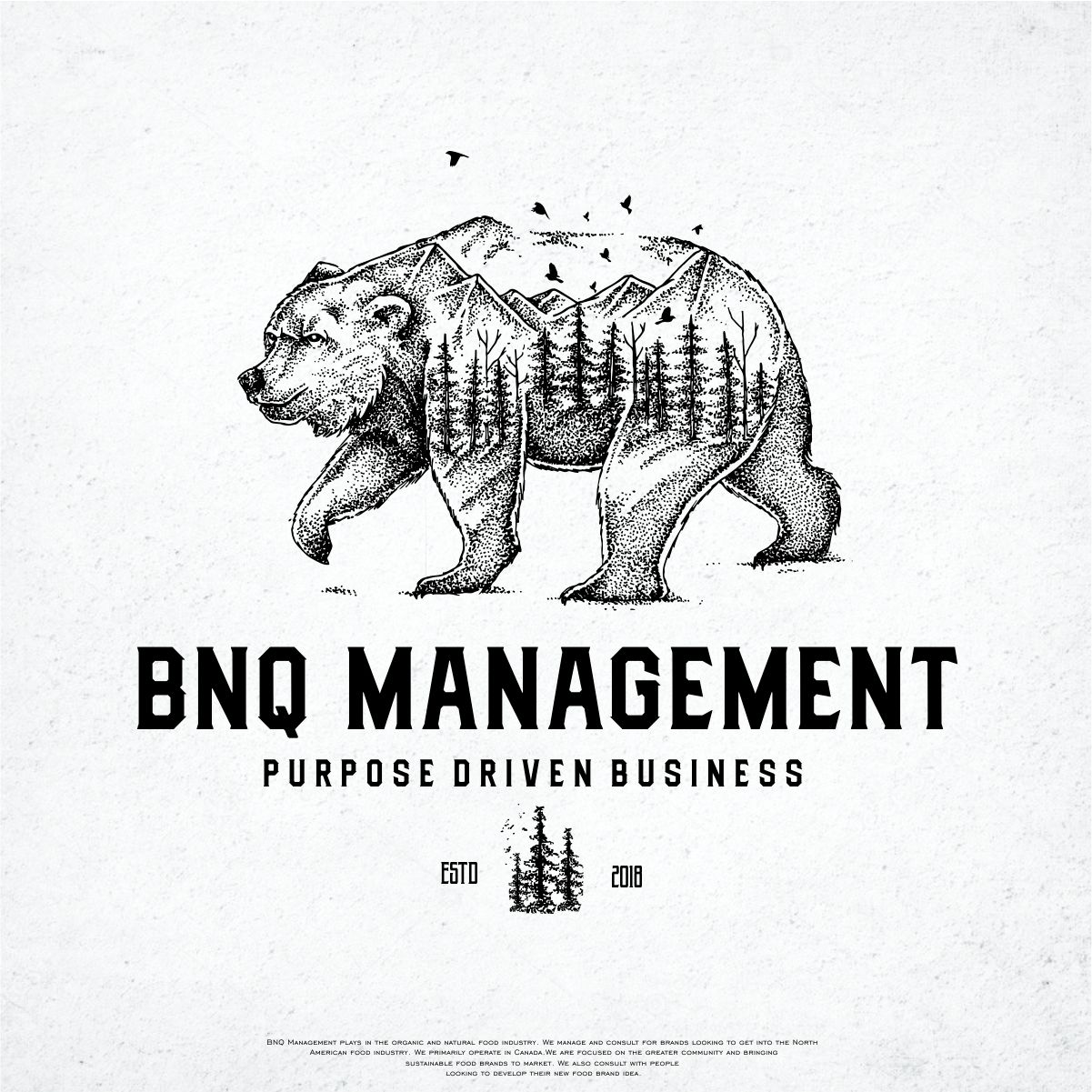 BNQ MANAGEMENT By Inov08 72040 - Designhill