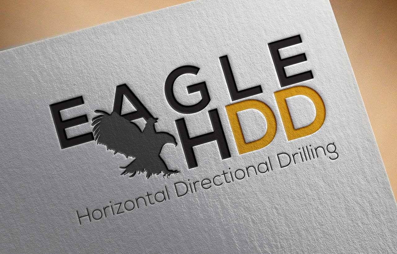 Eagle HDD - Logo Design BY Iskender 15276 - Designhill