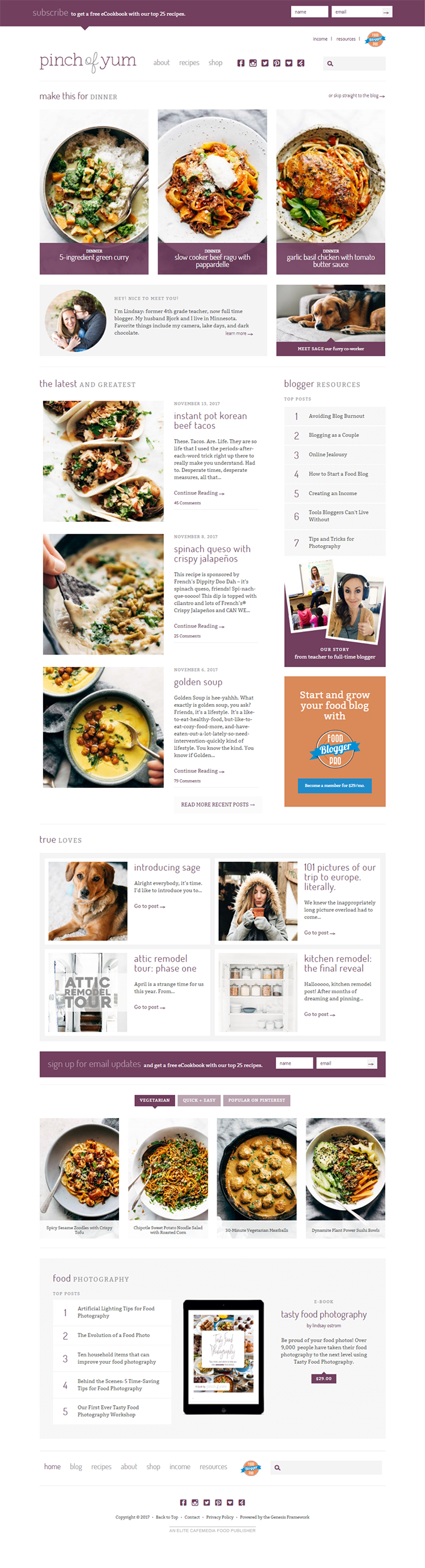 Pinch Of Yum - Website Design BY Dashrafi786 42178 - Designhill