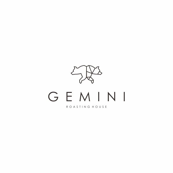 Gemini - Logo Design BY Salamun designs 182188 - Designhill