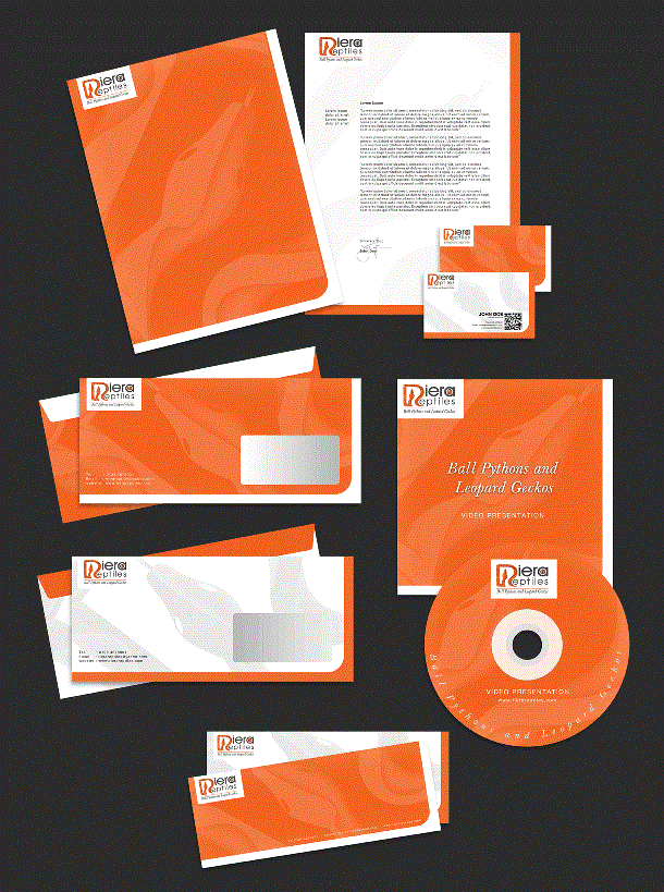 Business Package Design By Juneau 49344 - Designhill