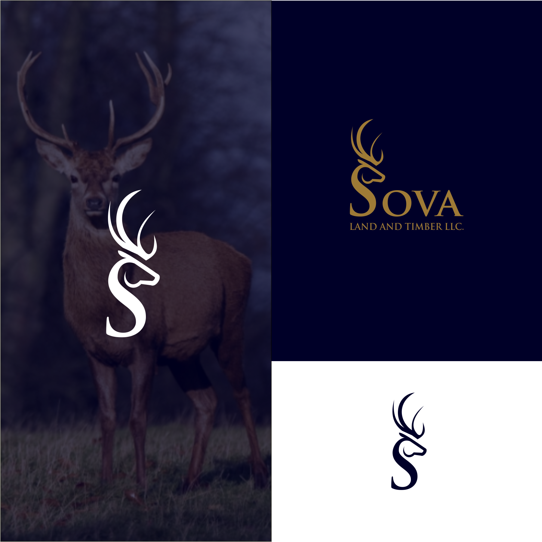 Animal Logo - Logo Design BY Shimul Pro 376890 - Designhill