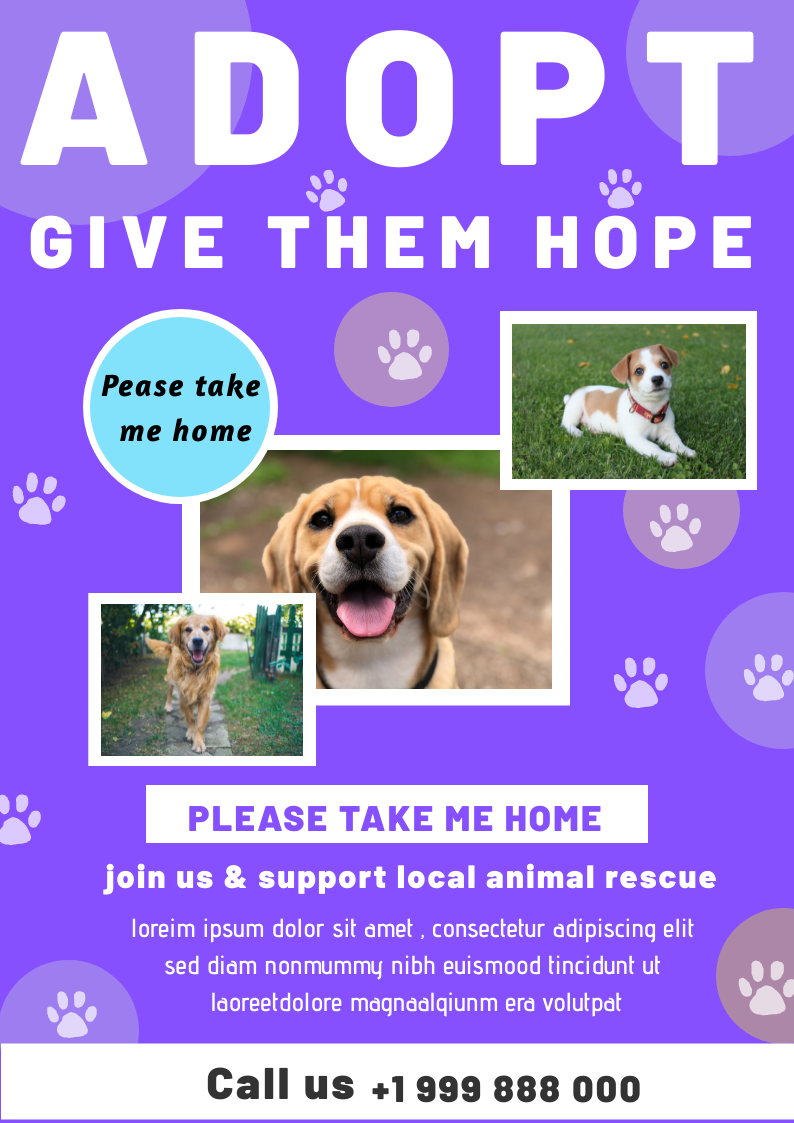 Pet Adoption Flyer By vikash kumar saw 353312 - Designhill