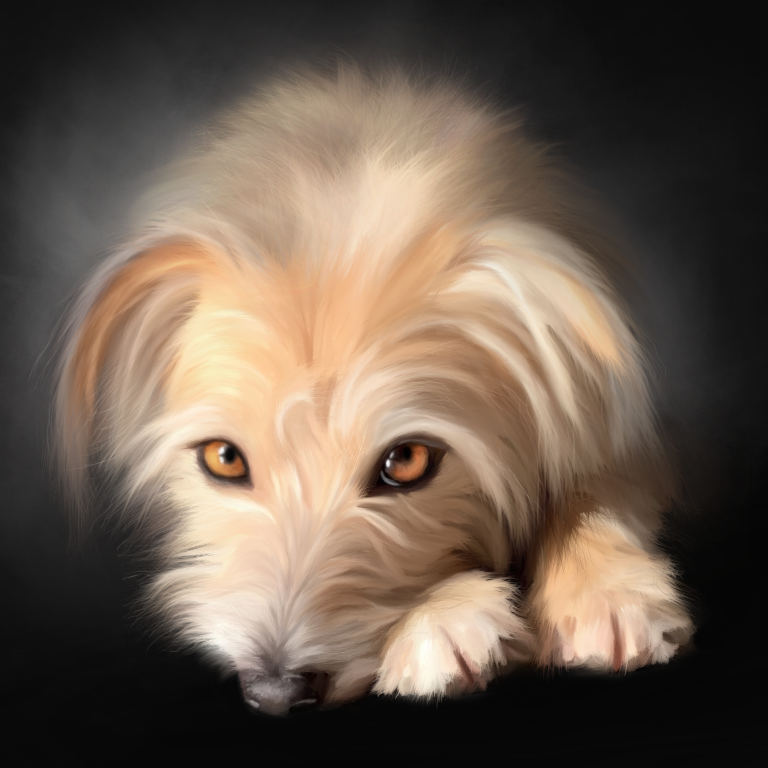 Leni - The Rescue Dog By Lene Holmen 210986 - Designhill