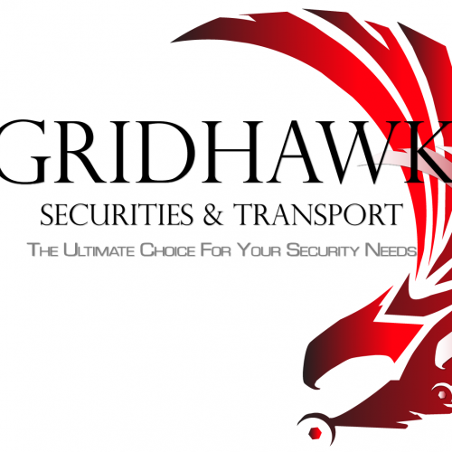 Bold Collection | Designhill