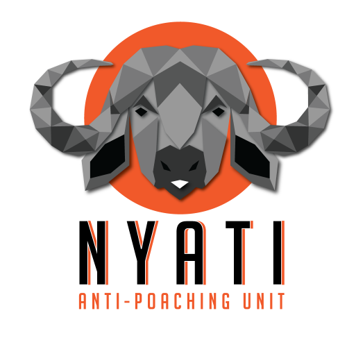 Bold Collection | Designhill